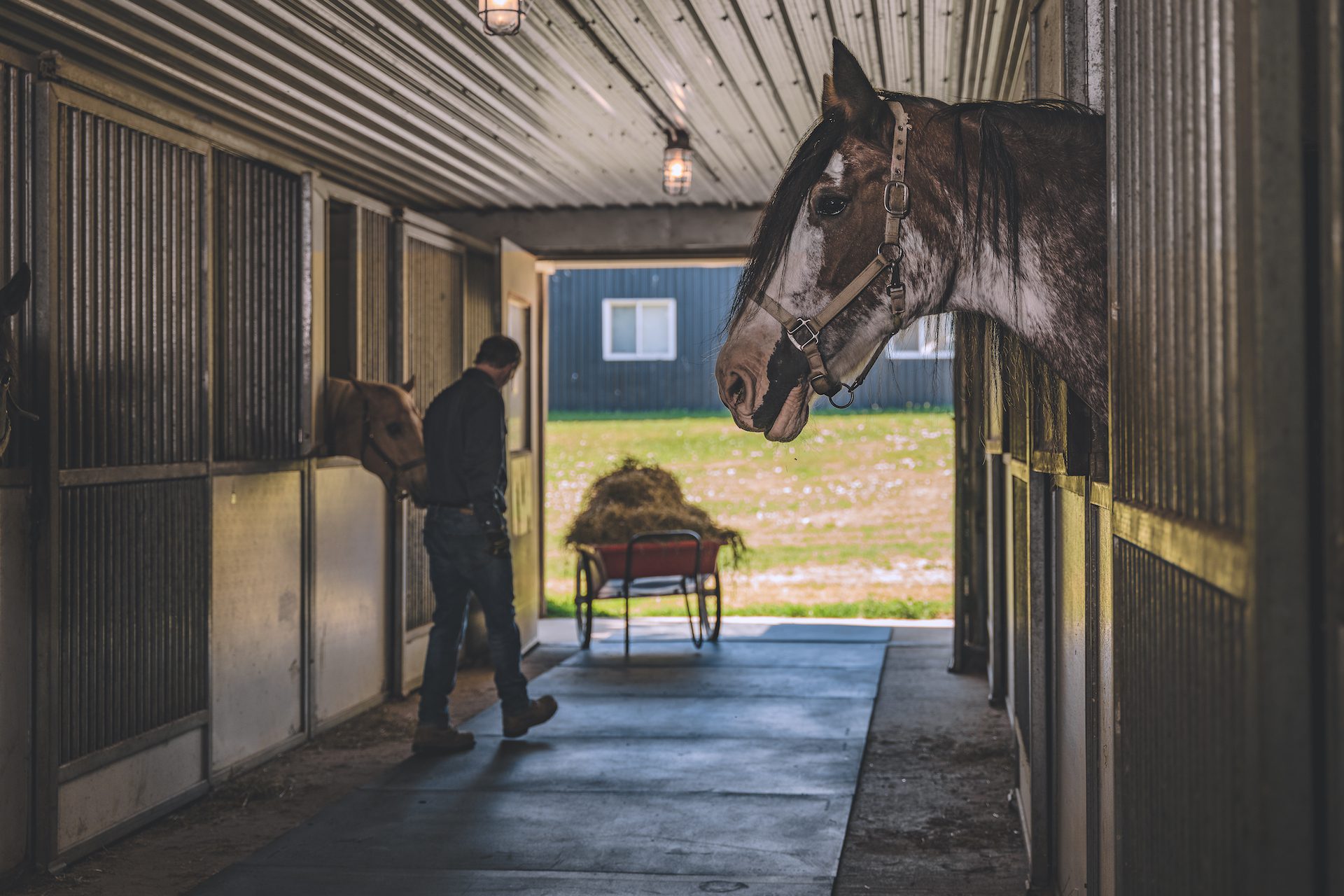 Why Red Barn® | Farm-Ready Rubber Products