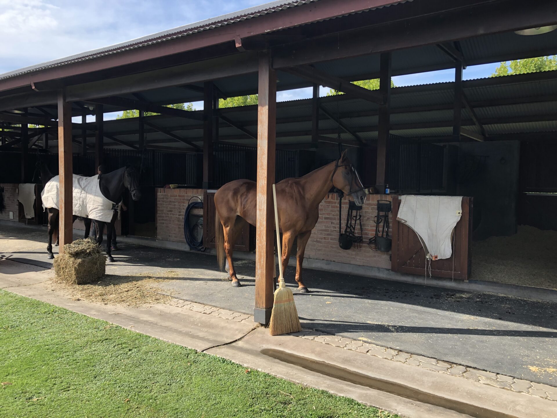 Ameba Stall Mat - Red Barn | North West Rubber